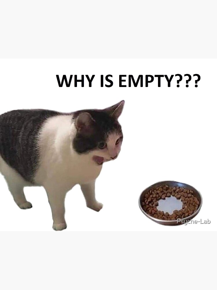 "Why is it Empty Meme" Art Print for Sale by Psyche-Lab | Redbubble