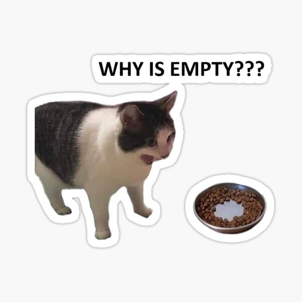 Why Is It Empty Meme Sticker For Sale By Psyche Lab Redbubble