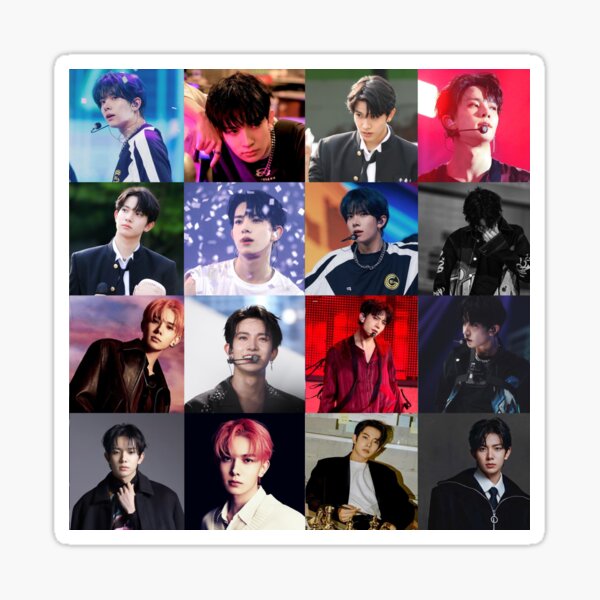 "Heeseung Collage" Sticker for Sale by Figureme | Redbubble