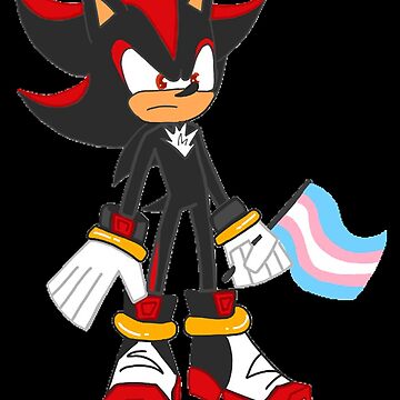 "Trans rights shadow 10 " Sticker for Sale by MidwestMindsett | Redbubble