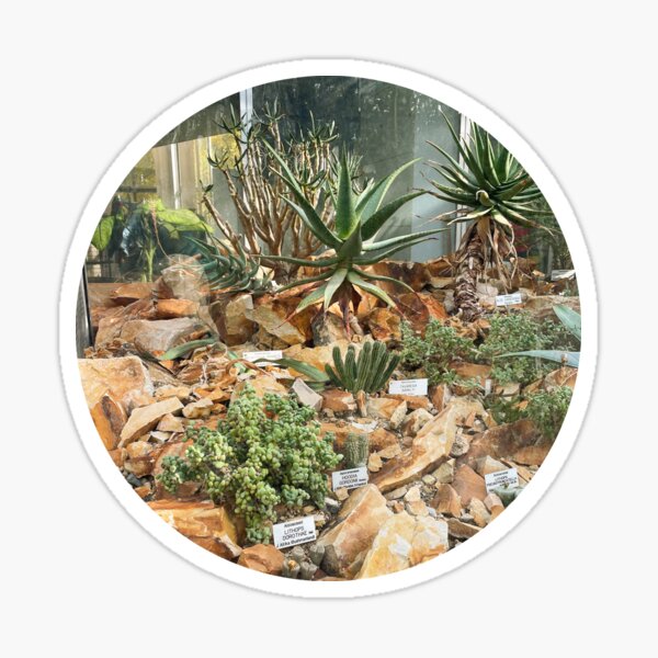 "Desert Climate Plants and Succulents" Sticker for Sale by ...