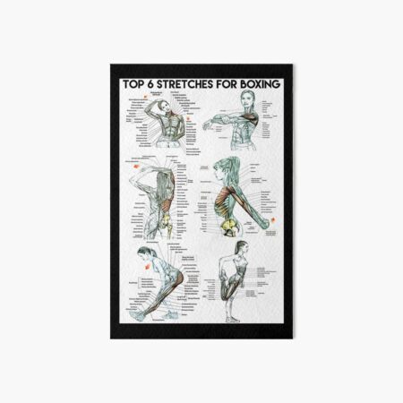 "Female Top 6 stretches for boxing" Art Board Print for Sale by ...