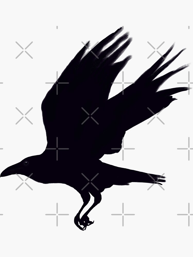 "black raven in flight" Sticker for Sale by Jokel-art | Redbubble