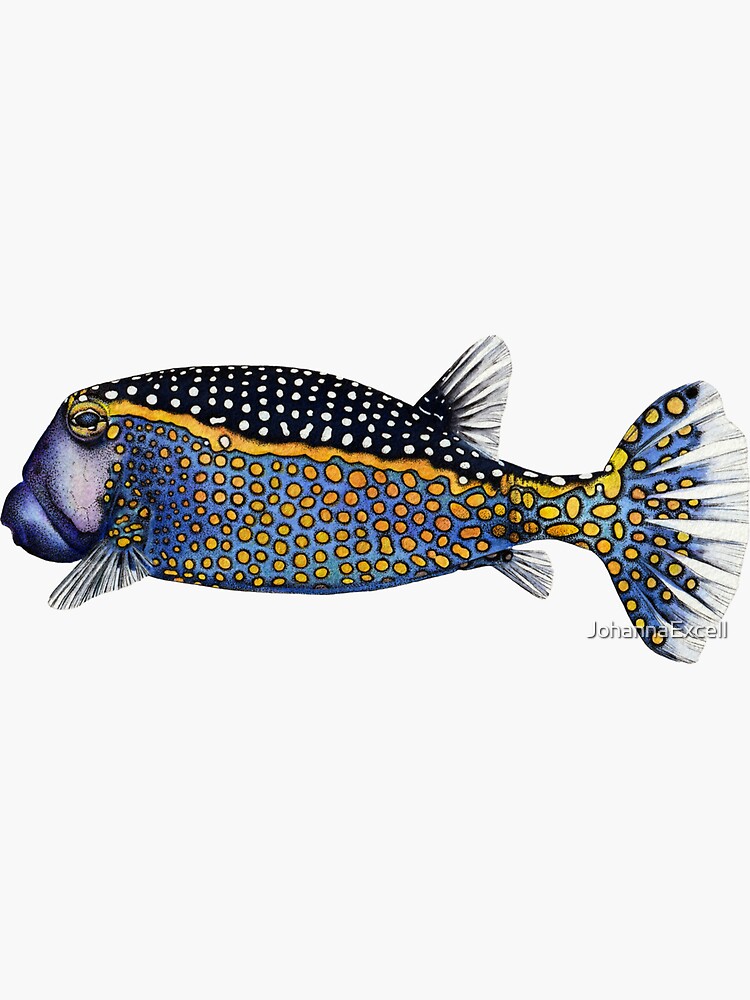 "Spotted Boxfish" Sticker for Sale by JohannaExcell | Redbubble