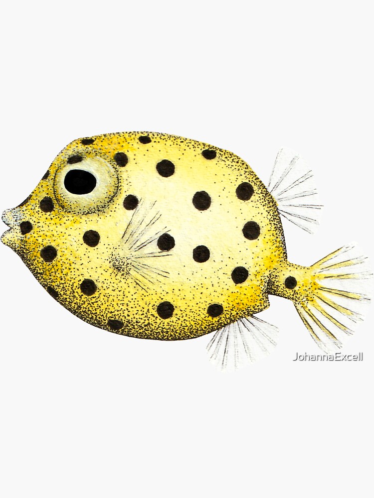 "Baby Yellow Boxfish" Sticker for Sale by JohannaExcell | Redbubble