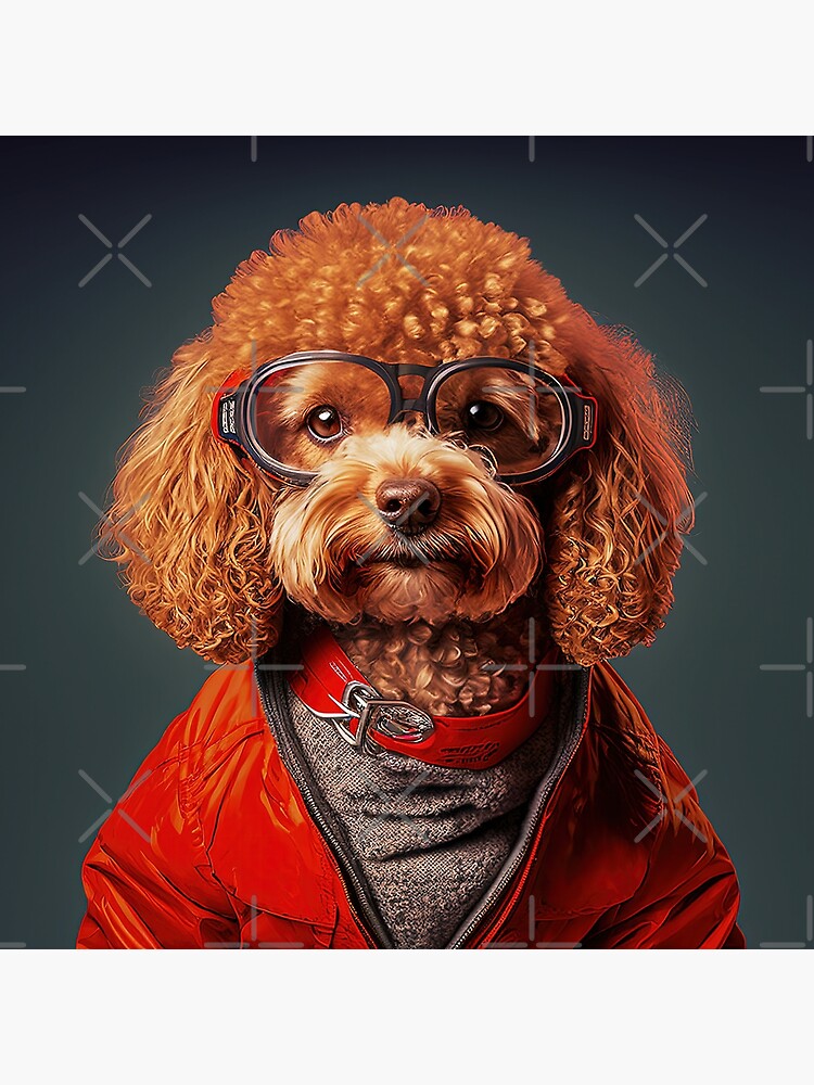 "Duke Cavapoo" Poster for Sale by zoomzoomies | Redbubble