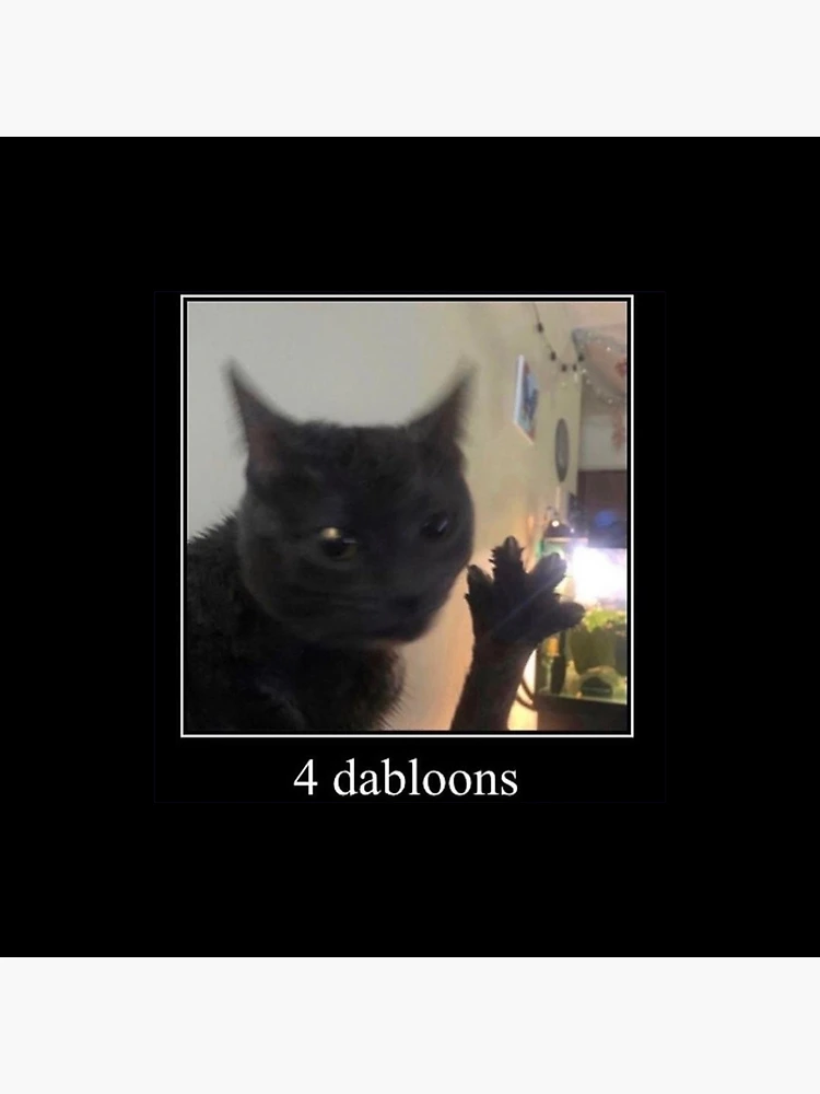 Meme De Gato De 4 Doblones