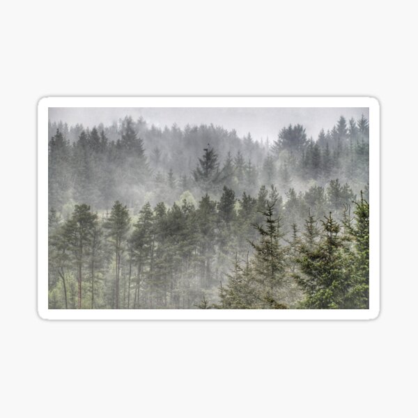 "Foggy forest" Sticker by Johnmfc81 | Redbubble