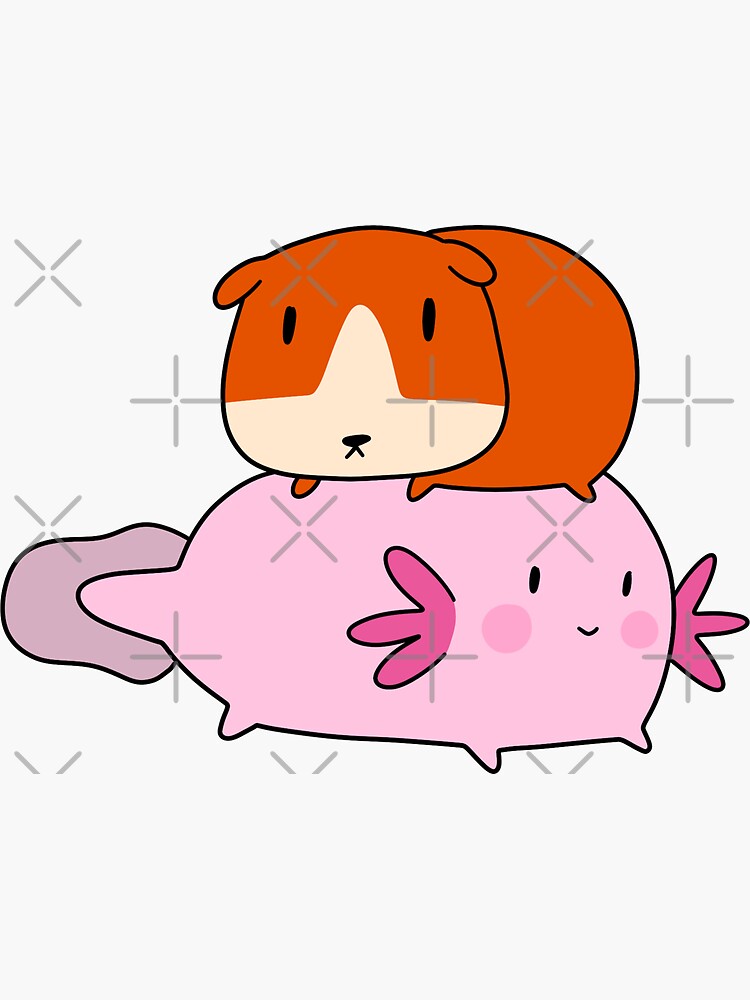 "Axolotl and Guinea Pig" Sticker for Sale by SaradaBoru | Redbubble
