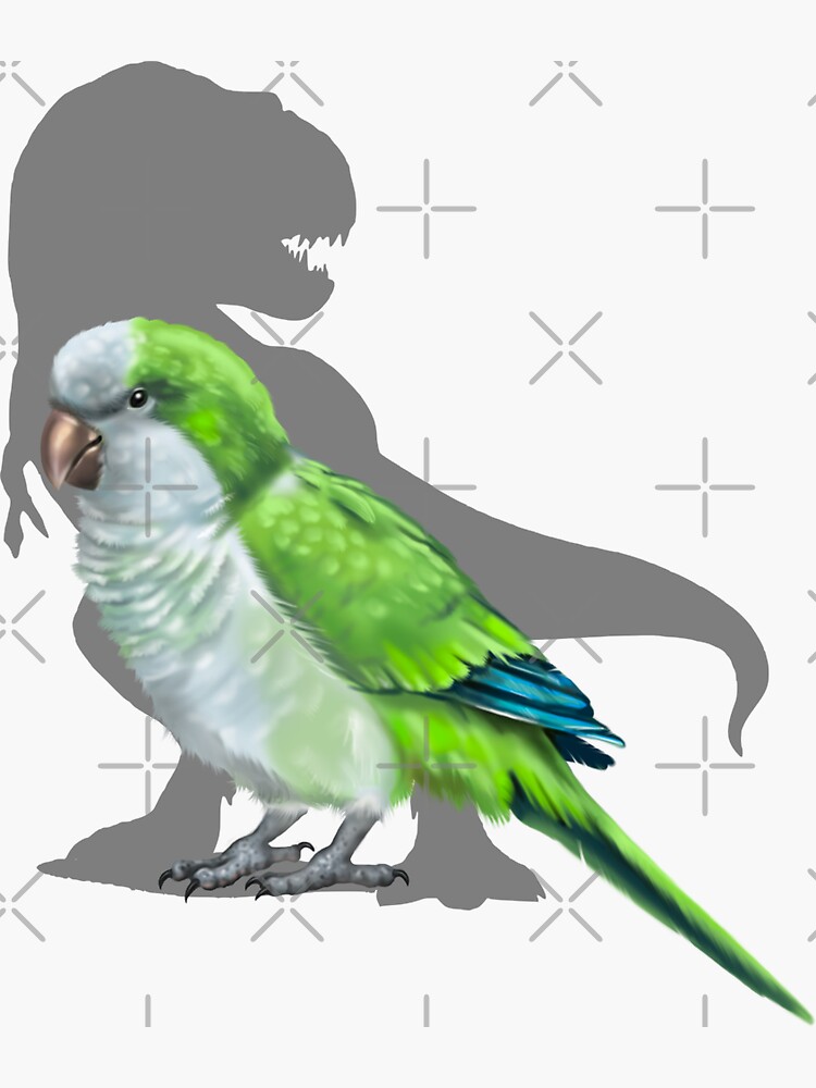 "Trex Green Monk Parakeet Shirt, Quaker Parrot Shirt , Parrot Lover ...