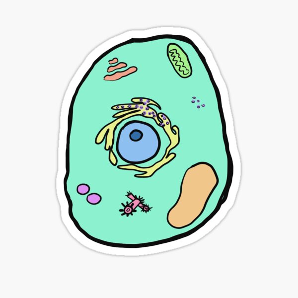 "Colorful Animal Cell Sticker" Sticker for Sale by FairyScientist ...