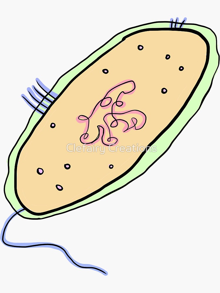 "Colorful Bacteria Sticker" Sticker for Sale by FairyScientist | Redbubble