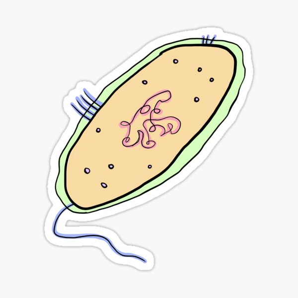 "Colorful Bacteria Sticker" Sticker for Sale by FairyScientist | Redbubble