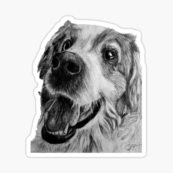 "Dog Drawing" Sticker for Sale by DGT-designs | Redbubble