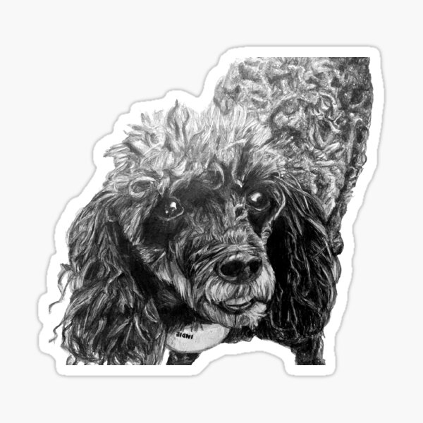 "Dog Drawing" Sticker for Sale by DGT-designs | Redbubble