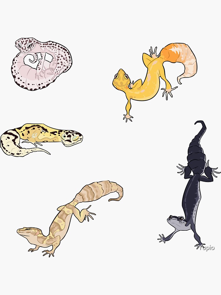 "Leopard Gecko Sticker Pack" Sticker for Sale by Yupio | Redbubble