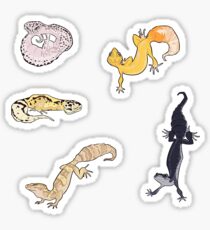 Leopard Gecko Stickers | Redbubble