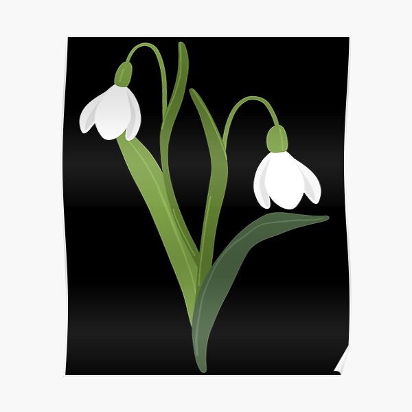 "snowdrop flower and leaves " Poster for Sale by Sidouseller | Redbubble