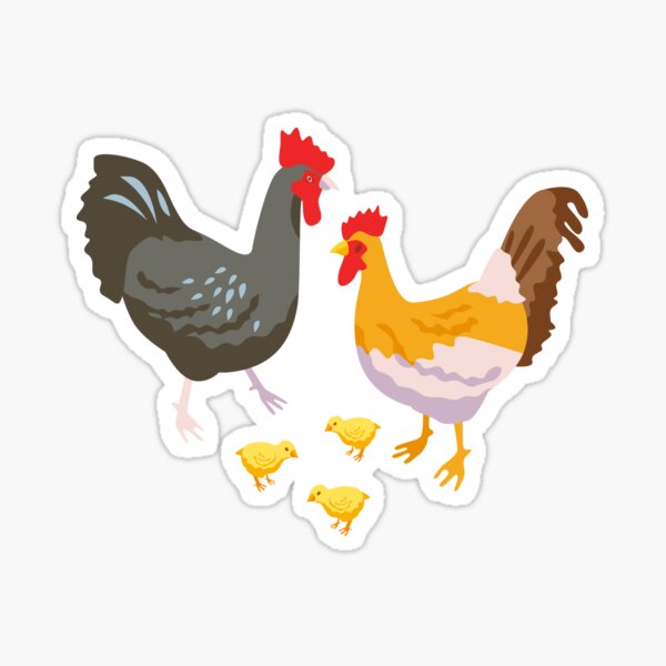 "CUTE CHICKENS - CHICKENS VINTAGE - CUTE CHICKEN STUFF" Sticker for ...