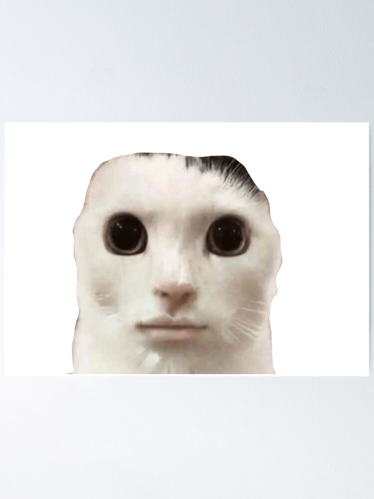 "starring cat goofy aha cat meme" Poster for Sale by Kawaii2cute ...