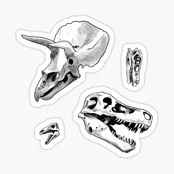 "Dinosaur skulls" Sticker for Sale by Paleo-parallax | Redbubble
