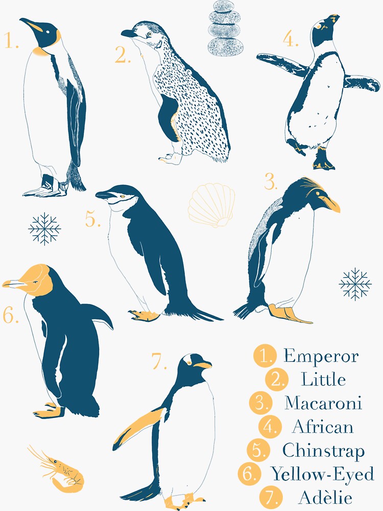 "Penguin Types" Sticker for Sale by Slunkisbiggles | Redbubble