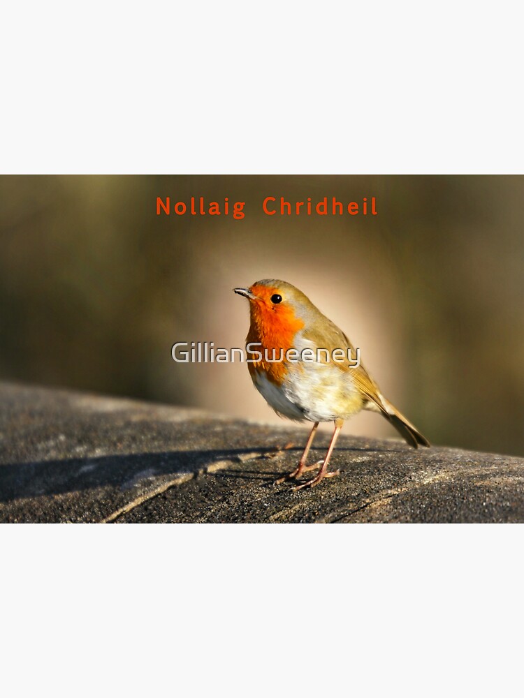 "Nollaig Chridheil, Robin Redbreast" Sticker for Sale by GillianSweeney ...