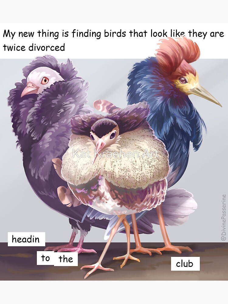 "Birds that look twice divorced" Art Print for Sale by DivinePasserine ...