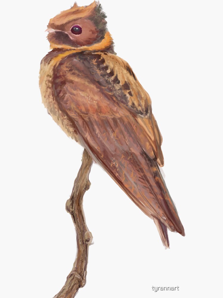 "Great Eared NightJar" Sticker for Sale by tyrannart | Redbubble