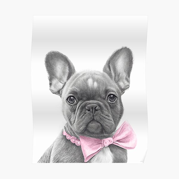 "Super cute pencil drawing frenchie puppy with pink bow" Poster for ...