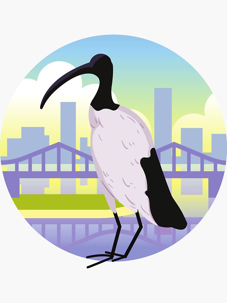 "Ibis / Bin Chicken/ Brisbane " Sticker for Sale by Dulynotedco | Redbubble