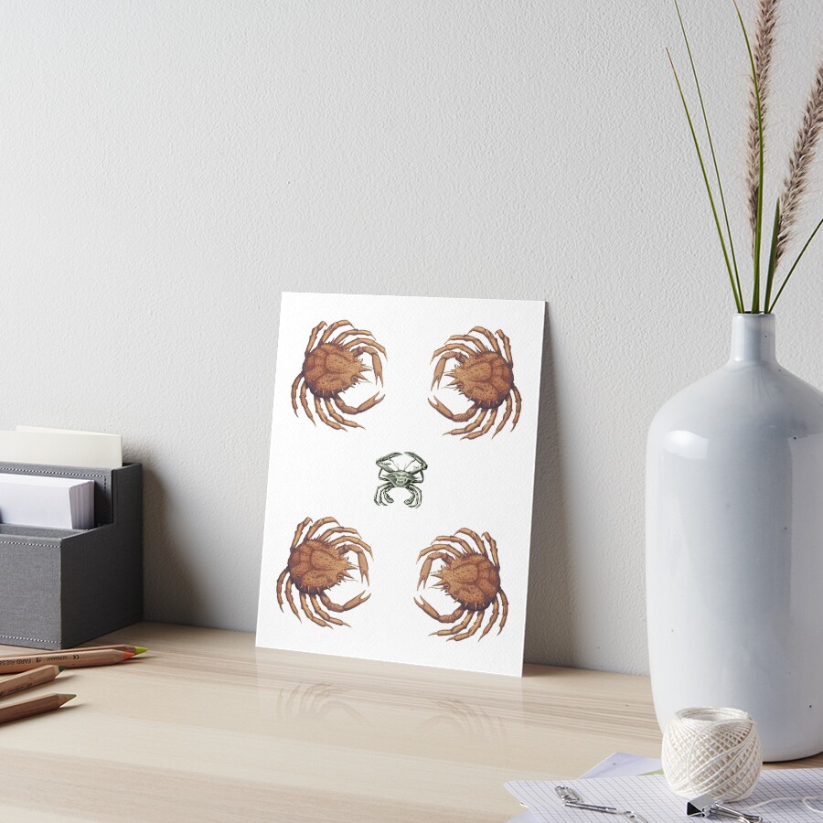 "Vintage Crab Collection Stickers - Vintage Crab Sticker Pack - Vintage ...