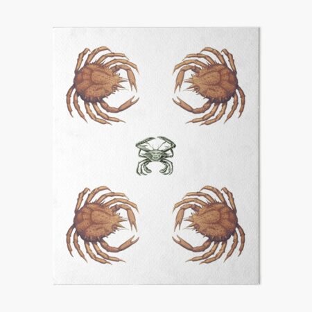 "Vintage Crab Collection Stickers - Vintage Crab Sticker Pack - Vintage ...