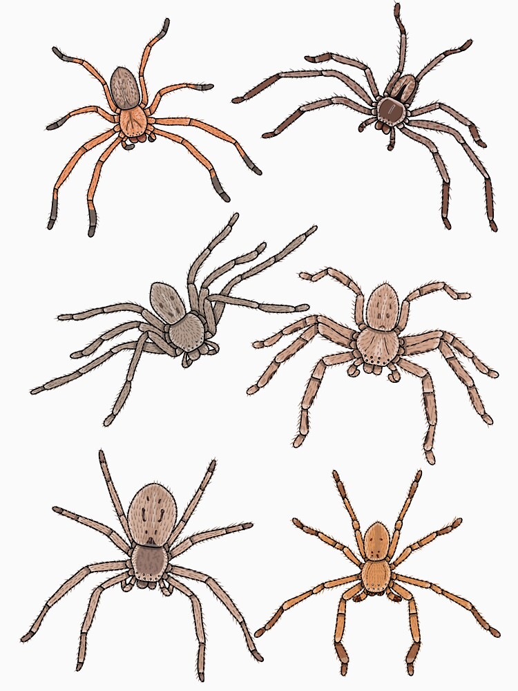 "Huntsman Spider Pattern" T-shirt for Sale by Artbychb | Redbubble ...