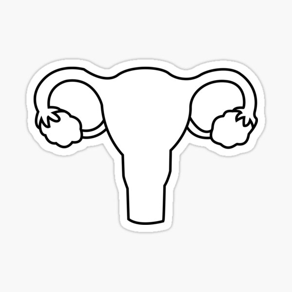 "Uterus" Sticker for Sale by Armaghan-sajid | Redbubble