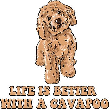 "Life Is Better With A Cavapoo - Cockapoo Lover Dog " Sticker for Sale by TeeSpillstore | Redbubble