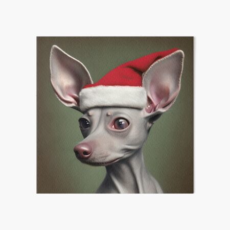 "Christmas American Hairless Terrier Wearing A Santa Hat" Art Board ...