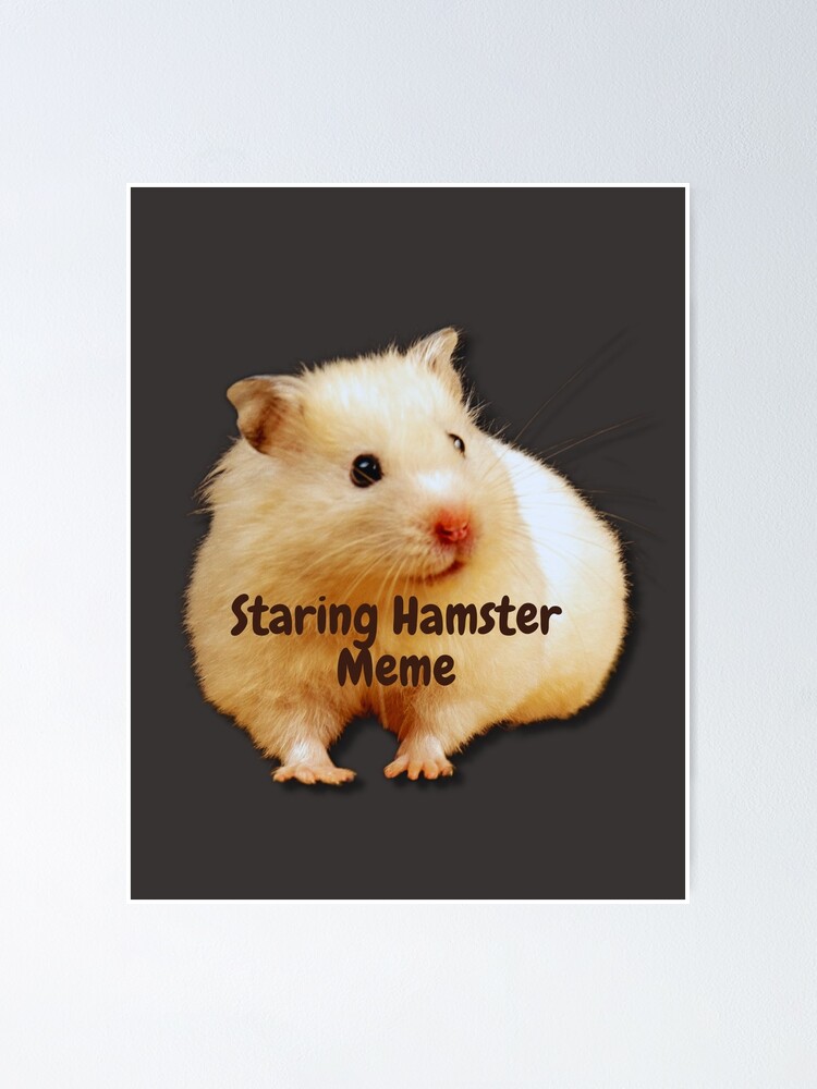 "Cute Staring Hamster Meme" Poster for Sale by MerchGiants | Redbubble