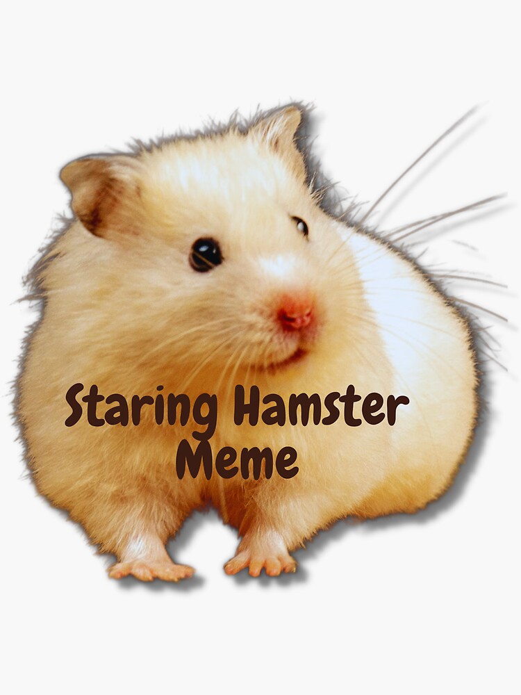 "Cute Staring Hamster Meme" Sticker for Sale by MerchGiants | Redbubble