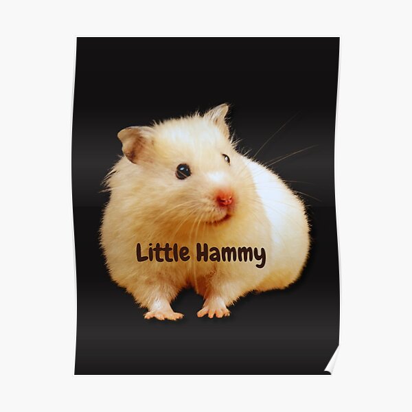 "Cute Little Hammy Hamster" Poster for Sale by MerchGiants | Redbubble