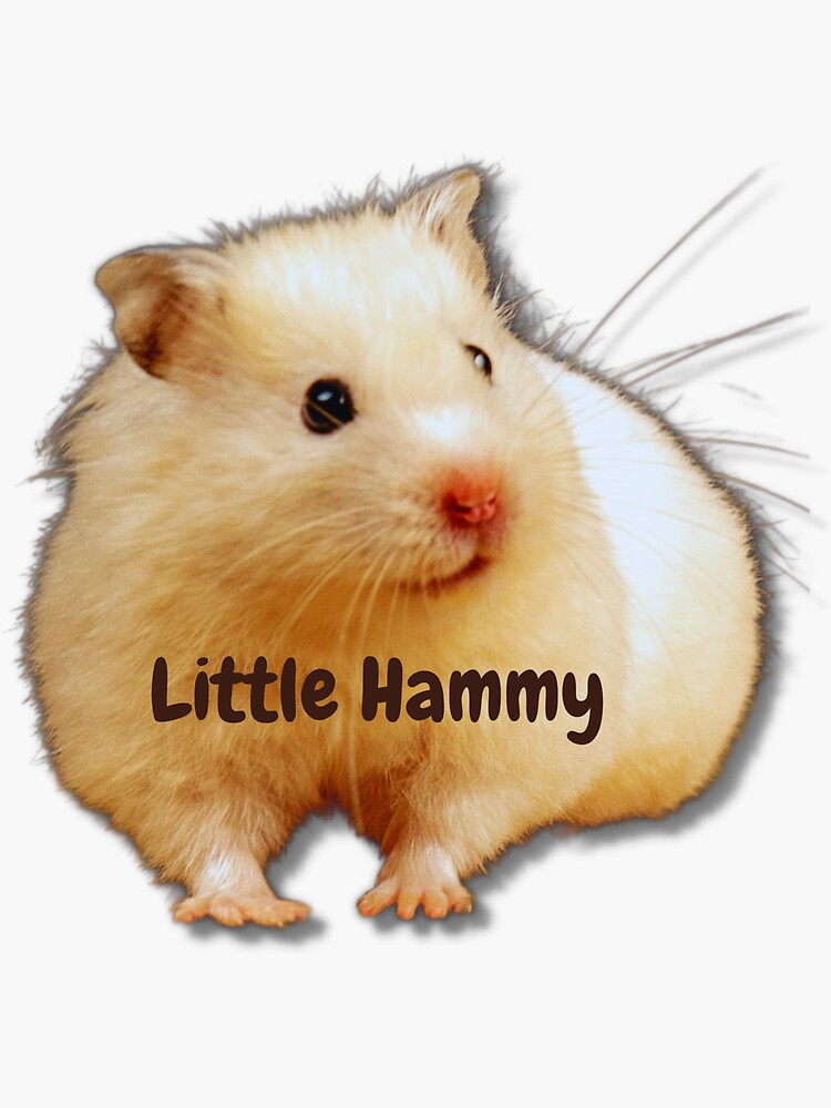 "Cute Little Hammy Hamster" Sticker for Sale by MerchGiants | Redbubble