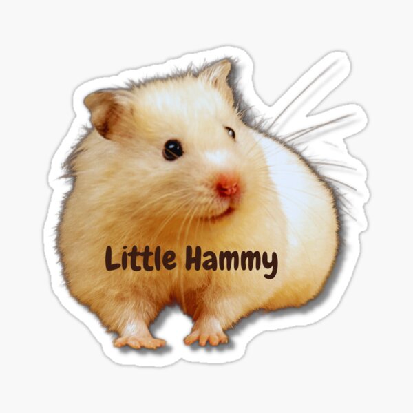 "Cute Little Hammy Hamster" Sticker for Sale by MerchGiants | Redbubble