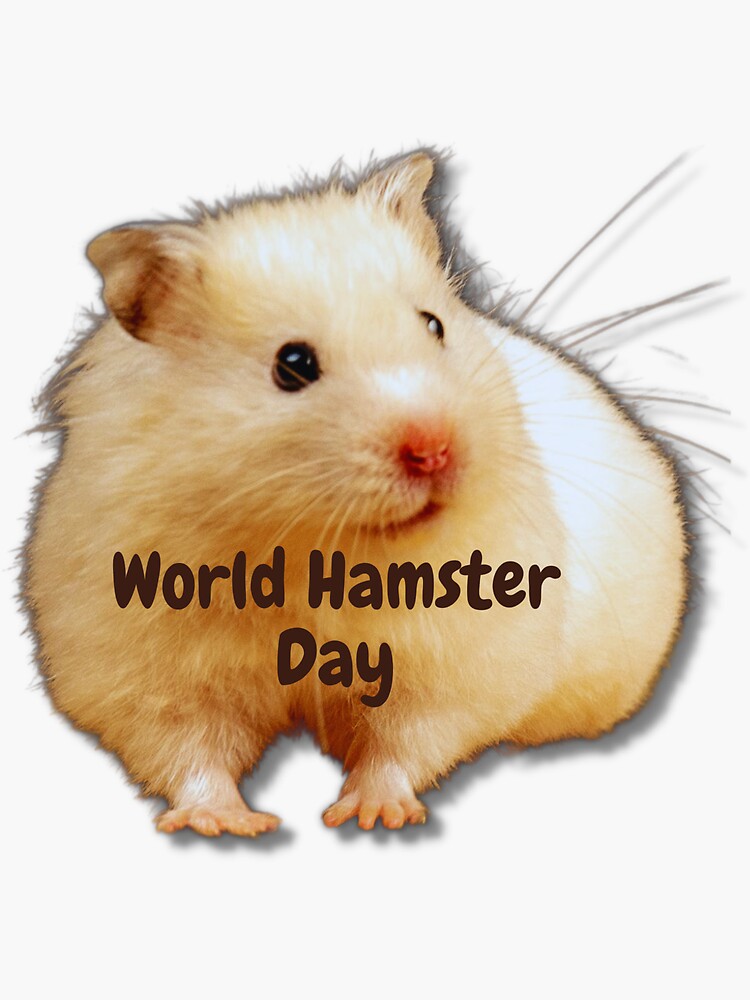 "World hamster Day" Sticker for Sale by MerchGiants | Redbubble