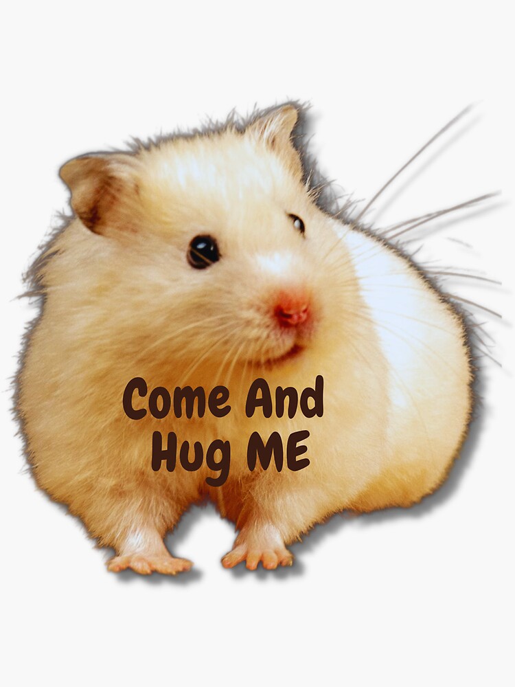 "Come and Hug Me, Cute Hamster" Sticker for Sale by MerchGiants | Redbubble