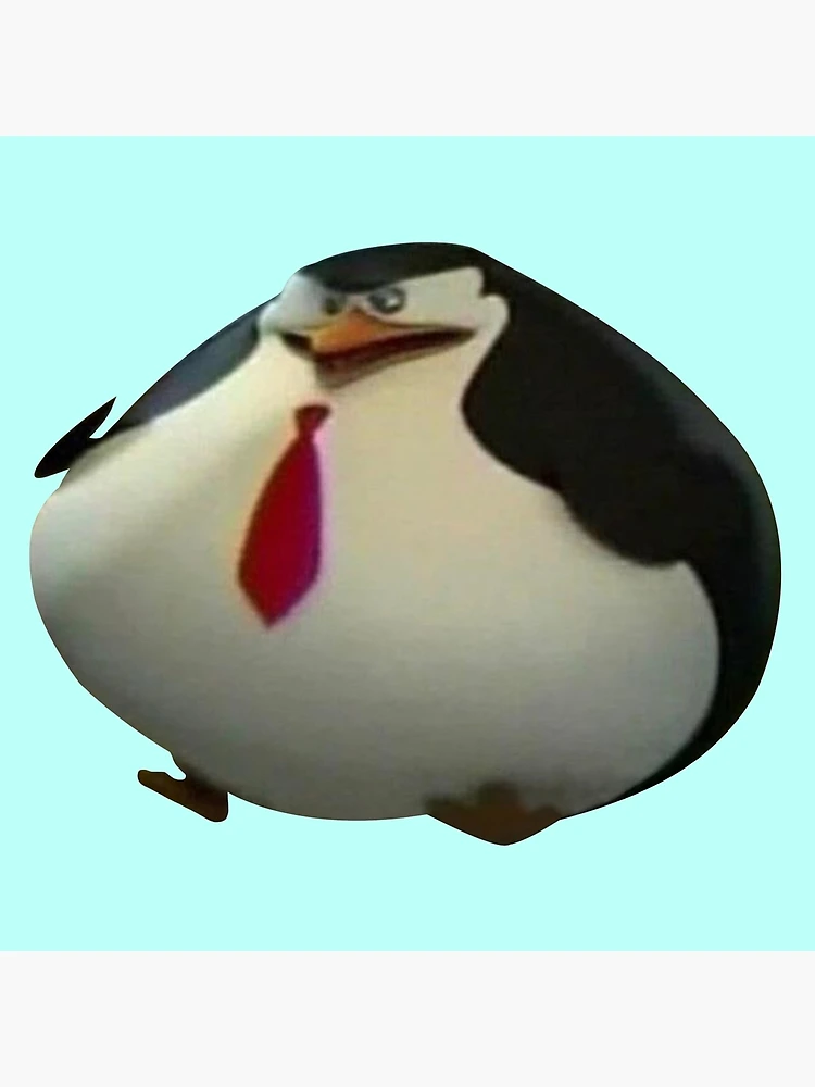 Skipper Memes Stream *HAAAAAAAAAAA.meme* By ᯓ☆H0SHI๋࣭ ⭑⚝