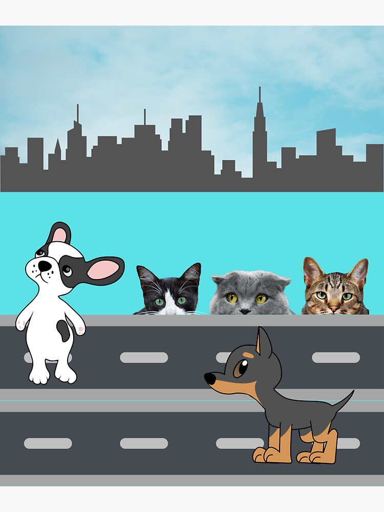 "Cats Me If You Can" Sticker for Sale by TurtoeClub | Redbubble