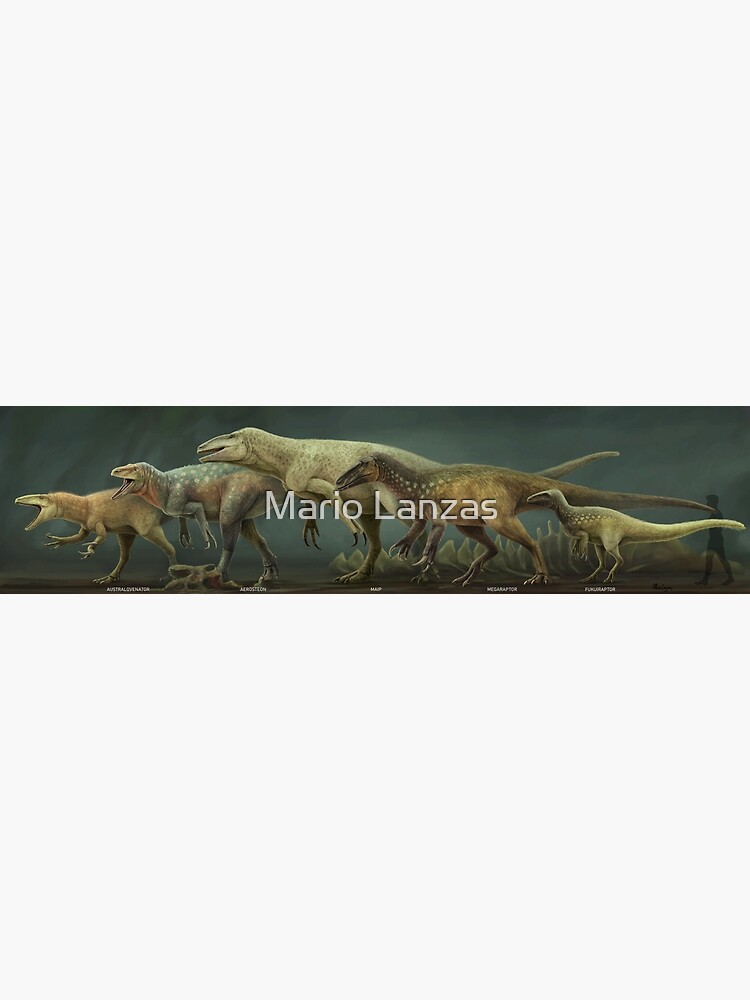 "MEGARAPTORA. dinosaur size comparison" Poster by Mario de los ríos ...