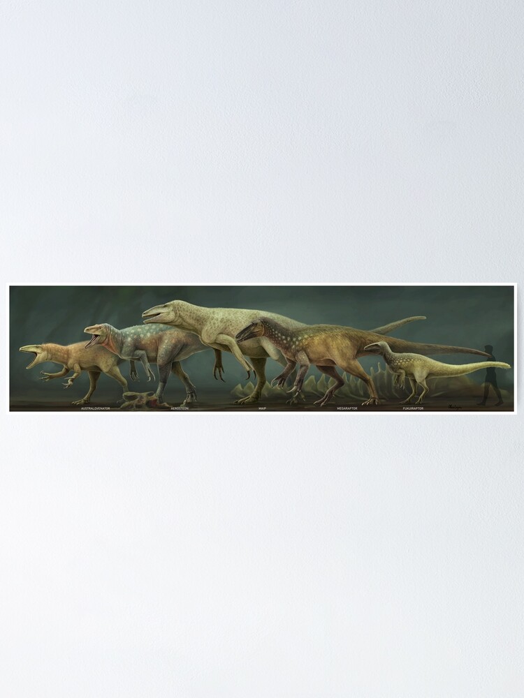 "MEGARAPTORA. dinosaur size comparison" Poster by Mario de los ríos ...