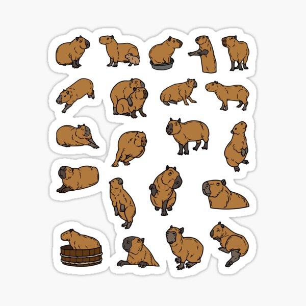 "capybara Kawaii Sticker Set" Sticker for Sale by Animster | Redbubble