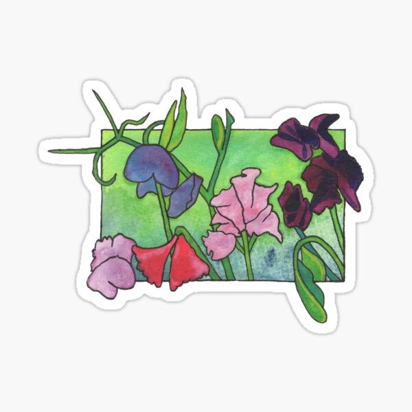 "Sweet Peas 1 " Sticker for Sale by KLReeves | Redbubble